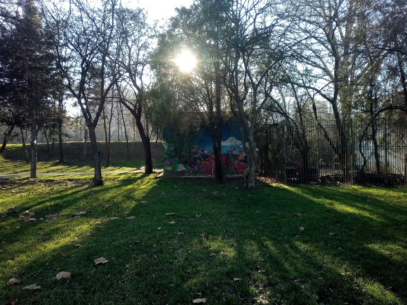UHANS Max 2: Cameră surprinzătoare la fotografii ziua, filmare cu ...